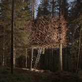 How to Project and Build a Habitable Treehouse - modlar.com