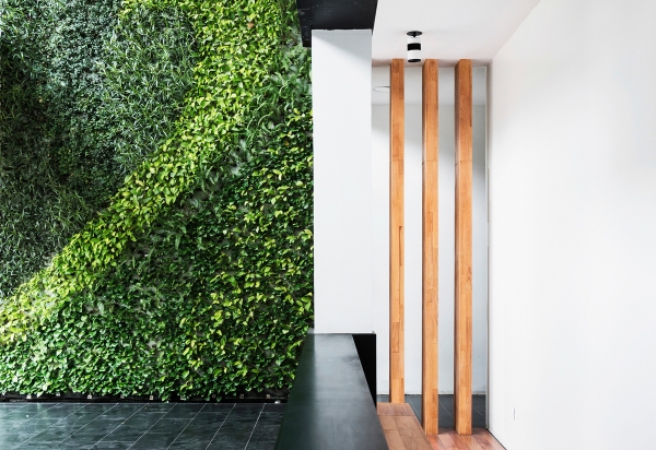 Modernism and Its Embracing of Biophilic Design in Home Decor - modlar.com