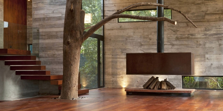 Modernism and Its Embracing of Biophilic Design in Home Decor - modlar.com