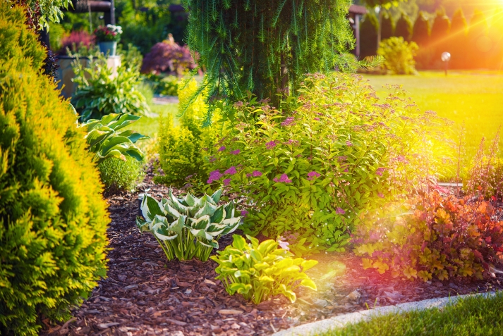 Maximizing Space: A Guide to Garden Orientation for Architects - modlar.com
