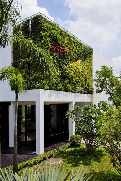 Living wall systems you would recommend - modlar.com