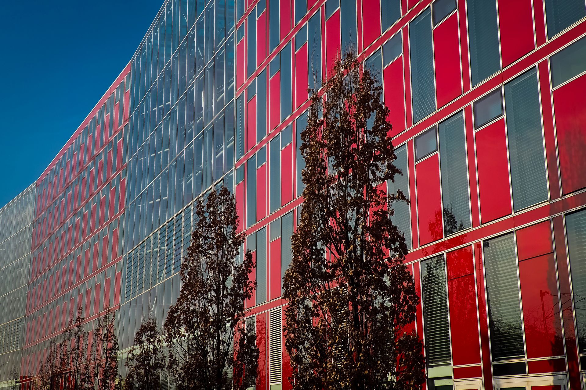 Capricorn Building - modlar.com