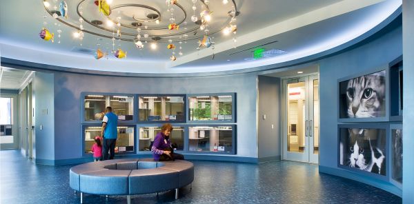 Jan Rees-Jones Animal Care Center - Interior - modlar.com