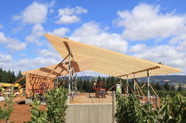 L'Angolo Estate Winery - Construction - modlar.com