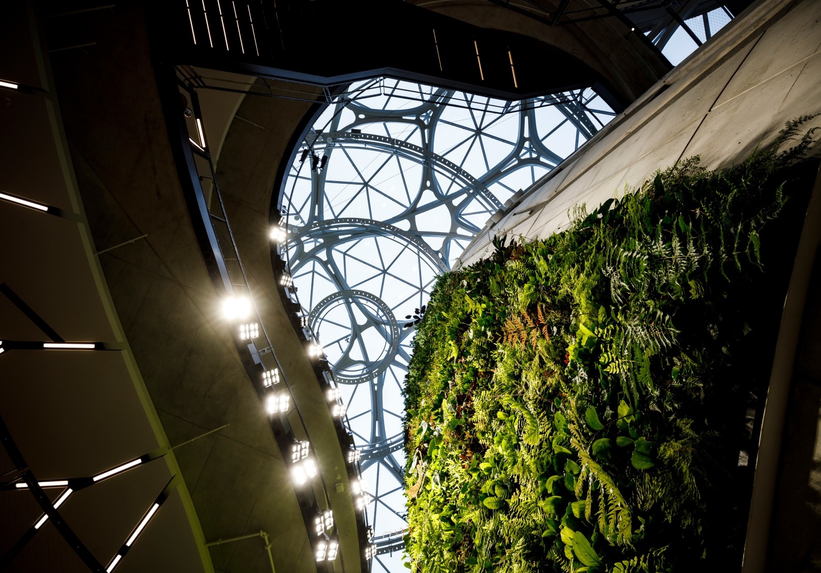 Amazon Spheres - Interior - modlar.com