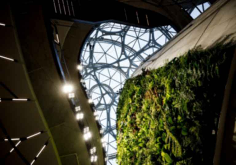 Amazon Spheres - Interior - modlar.com