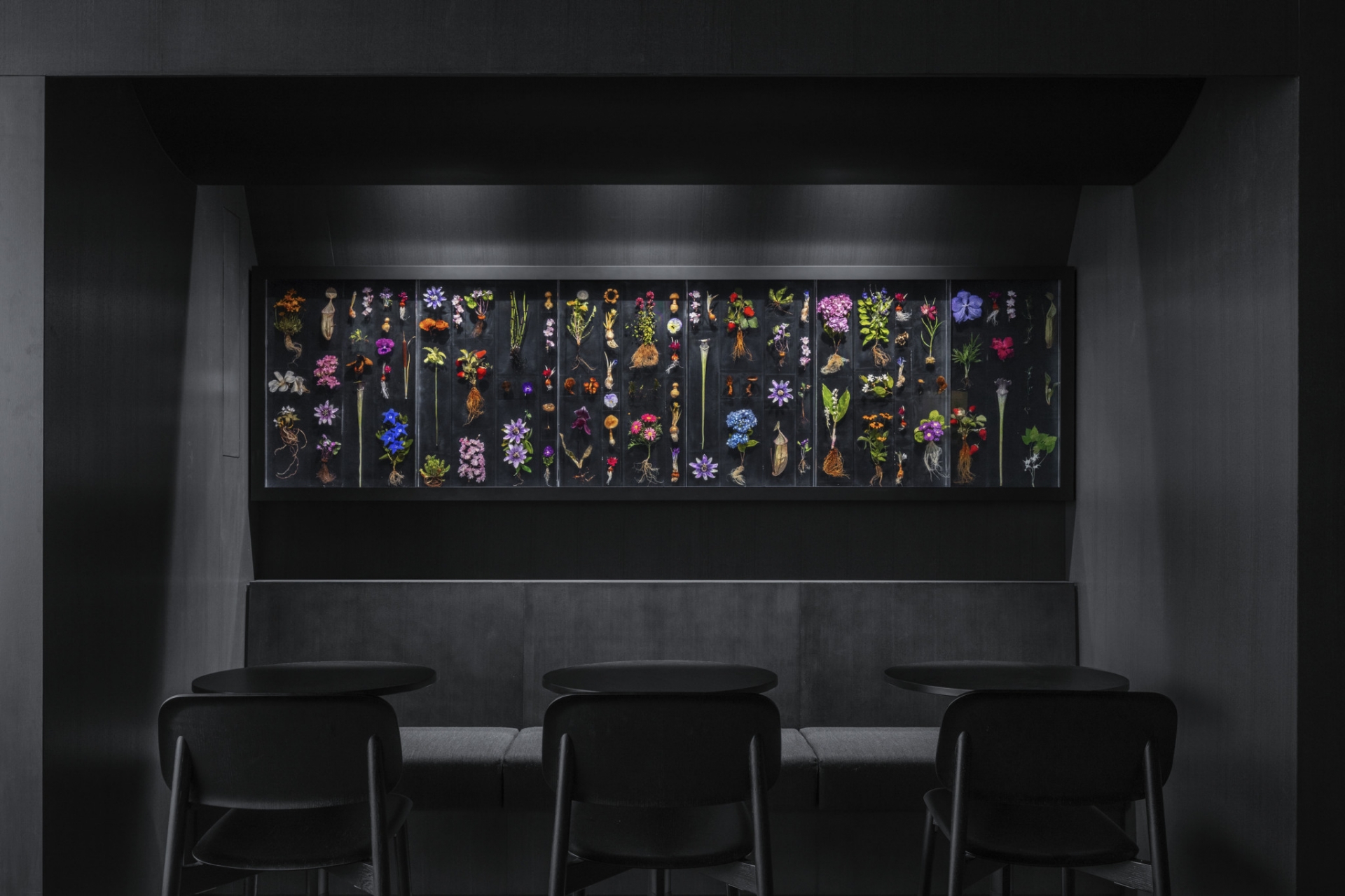 Cella Bar - Interior - modlar.com