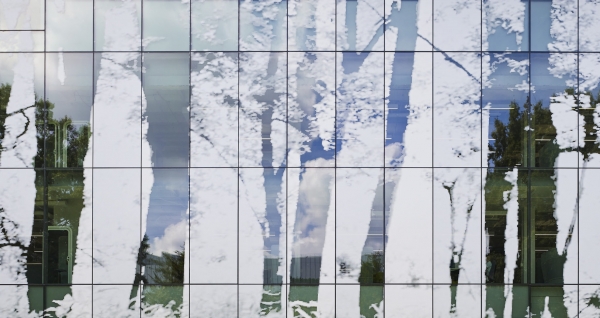 Interface Headquarters - Window Detail - modlar.com