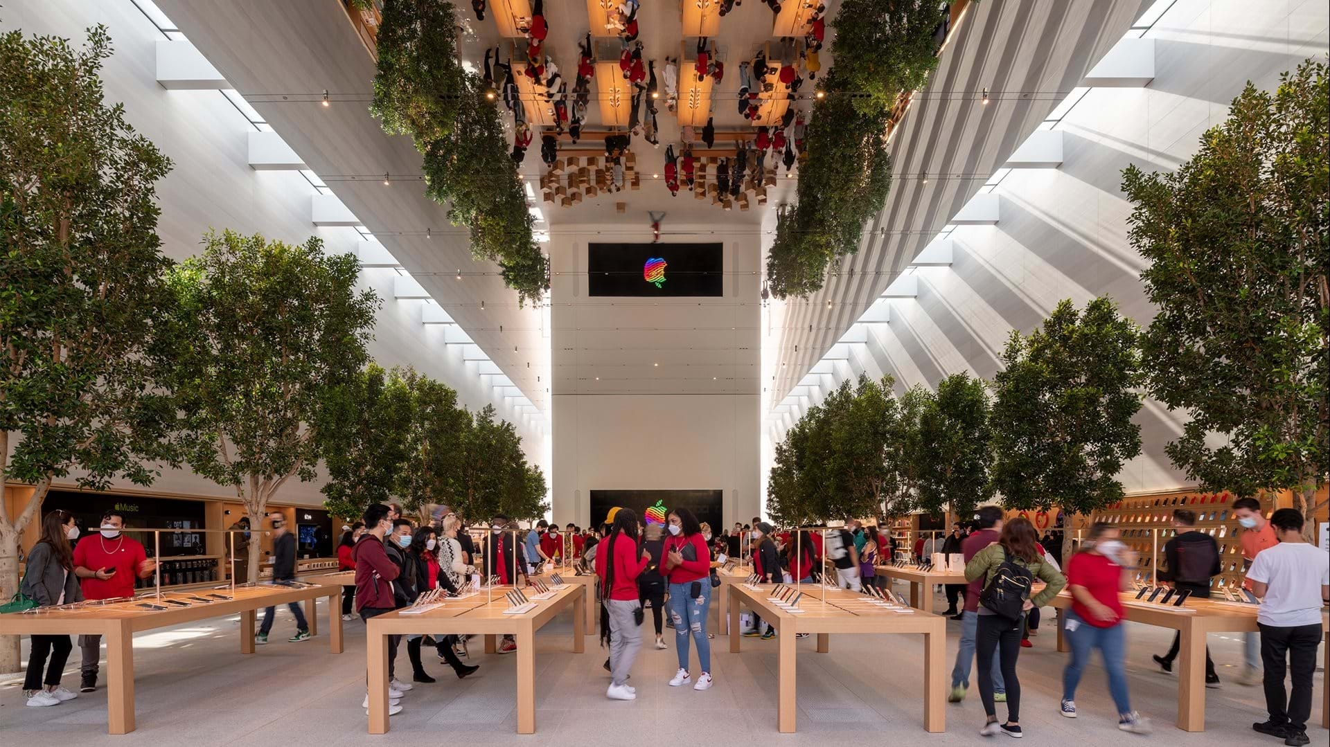Apple at The Grove - modlar.com