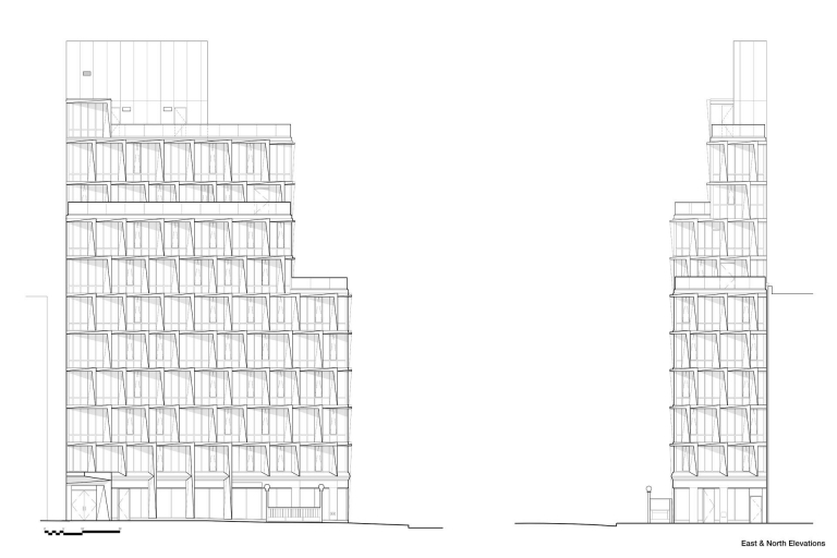 Tribeca Rogue - Drawing - modlar.com