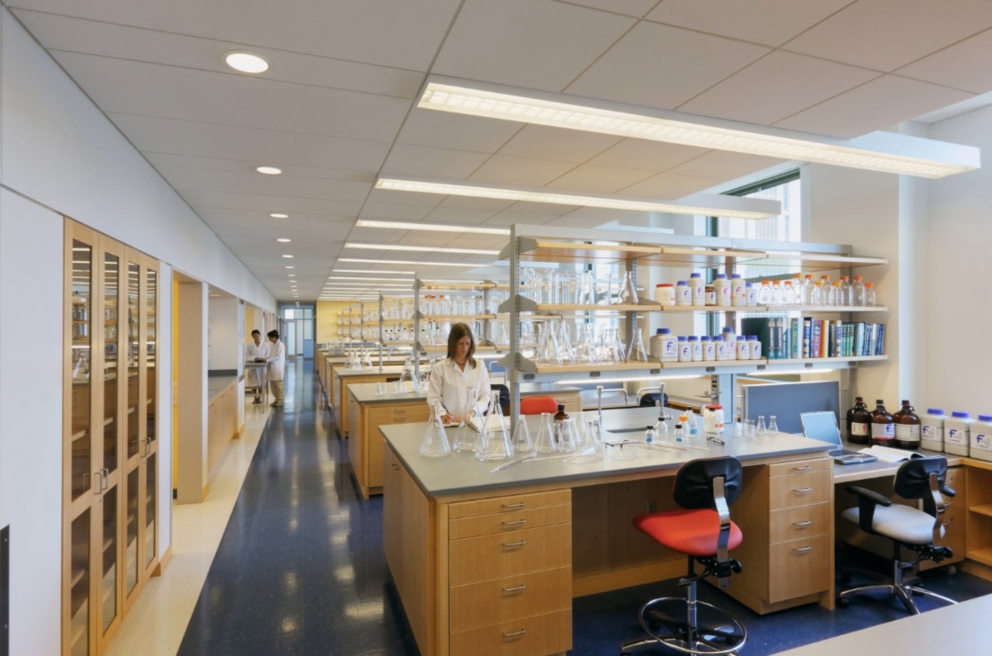 Collaborative Research Center, Rockefeller University - Laboratory ...