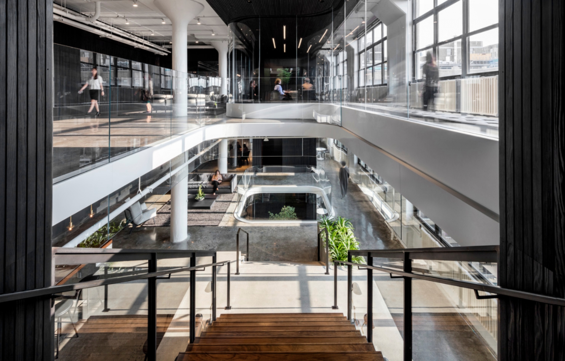 Offices Photos - Modlar