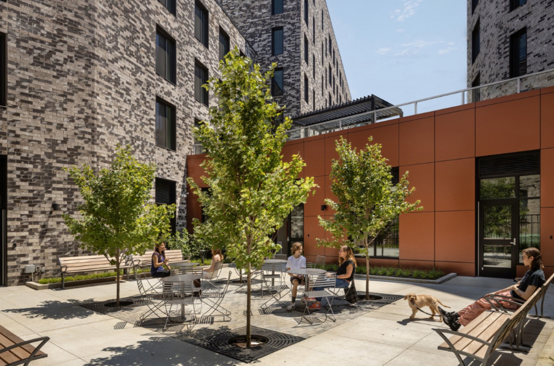 Vital Brookdale - modlar.com