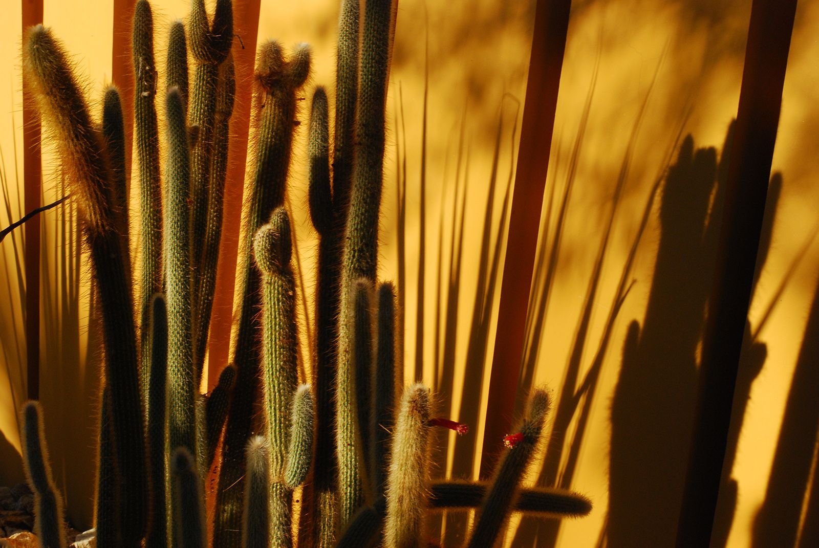 LLM House - Floor Plan - modlar.com