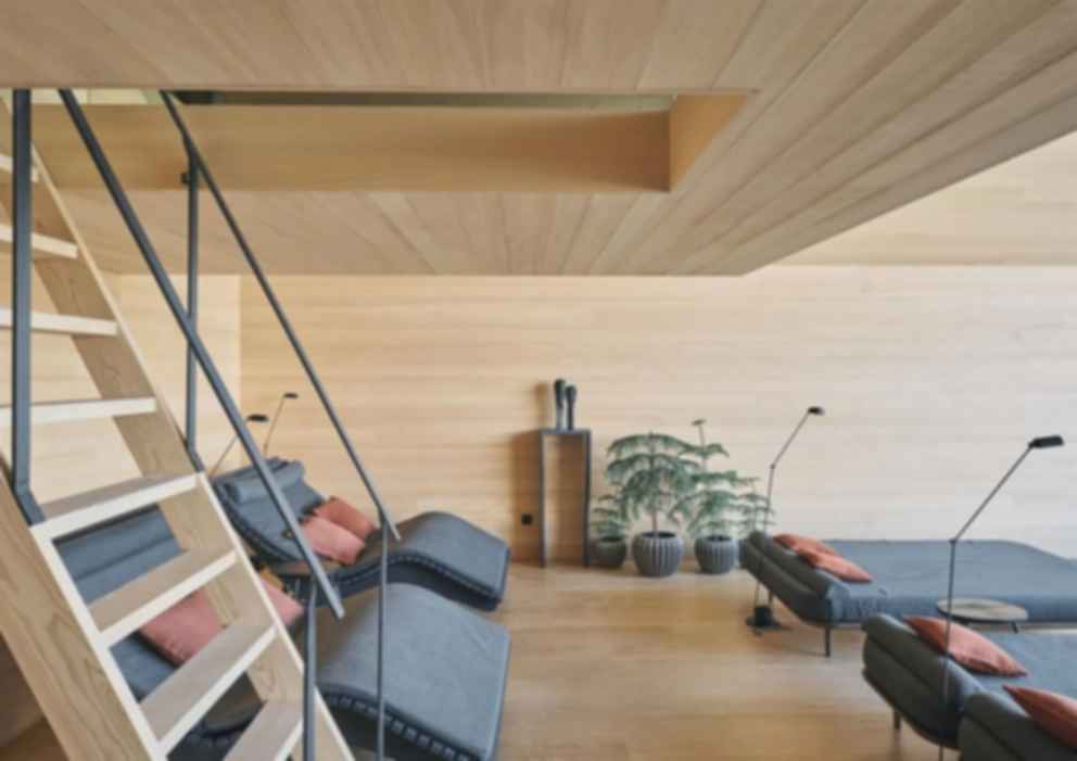 Miramonti Infinity Pool and Forest Sauna - Relaxation Room - modlar.com