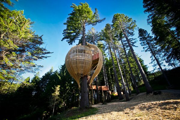Yellow Treehouse - Exterior - modlar.com