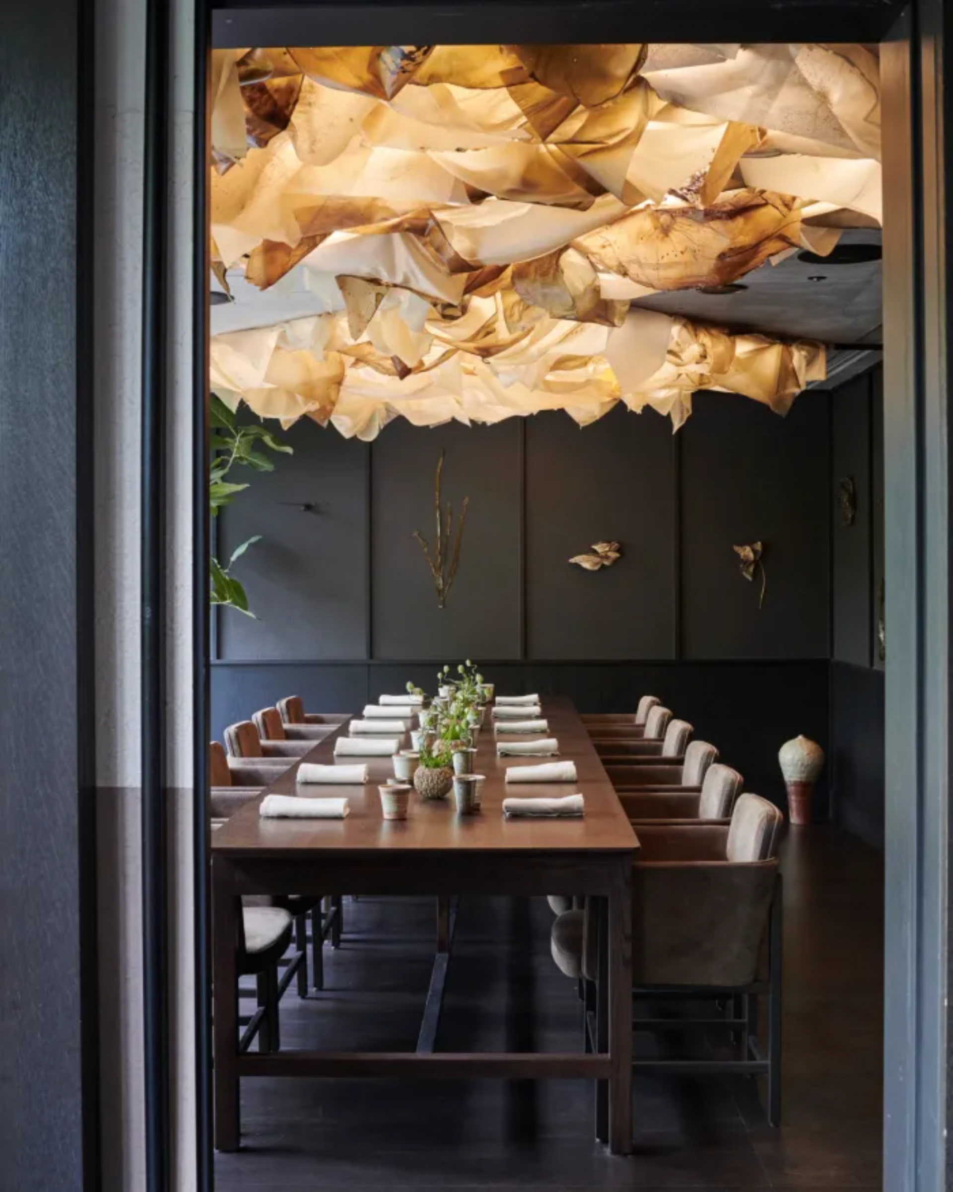 Cafes and Restaurants Photos - Modlar