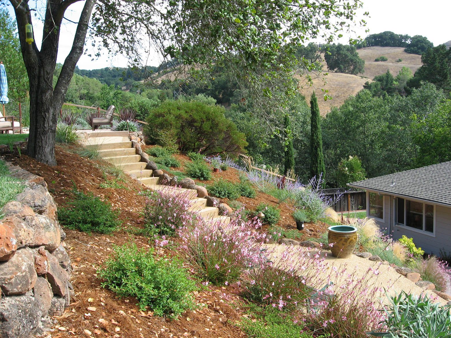 Drought Tolerant Landscaping Ideas - modlar.com