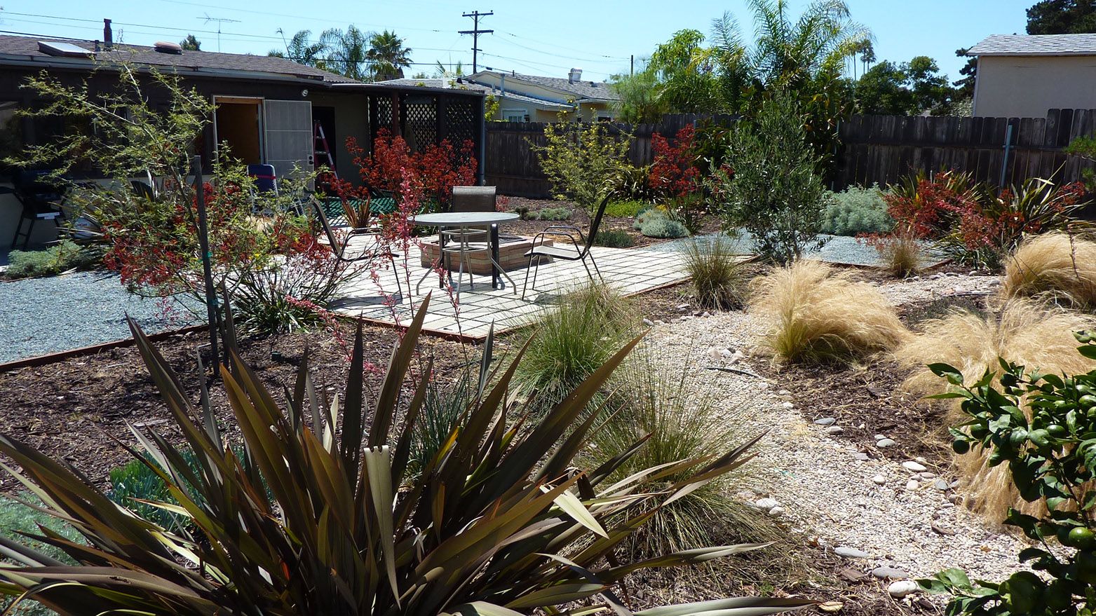 Drought Tolerant Landscaping Ideas - modlar.com