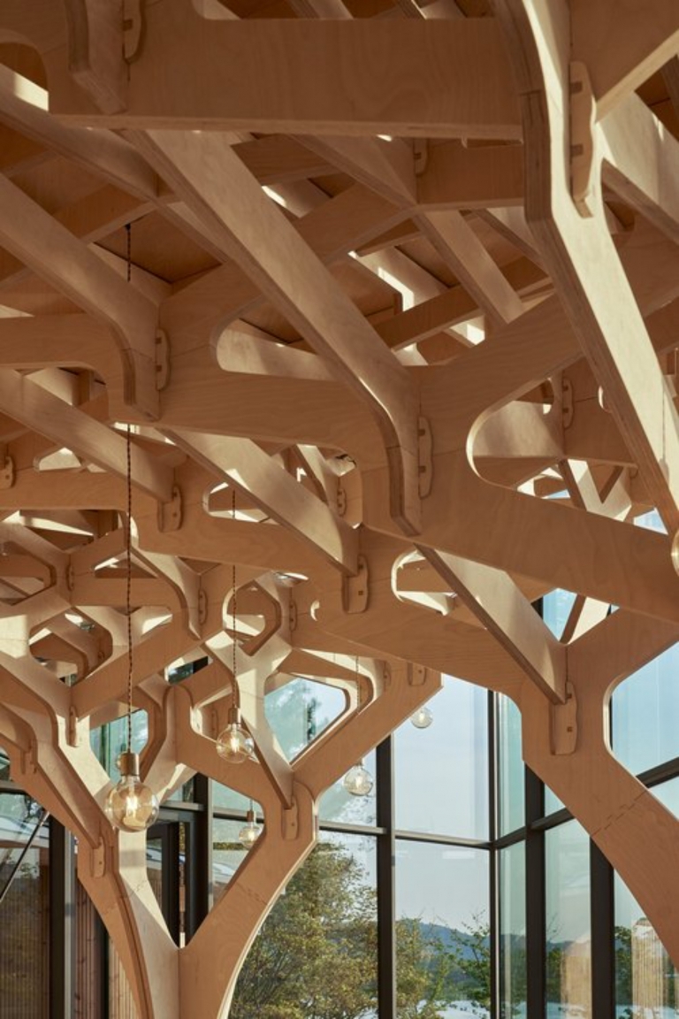 Pavilion of Floating Lights - Ceiling - modlar.com