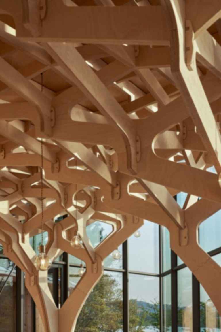 Pavilion of Floating Lights - Ceiling - modlar.com