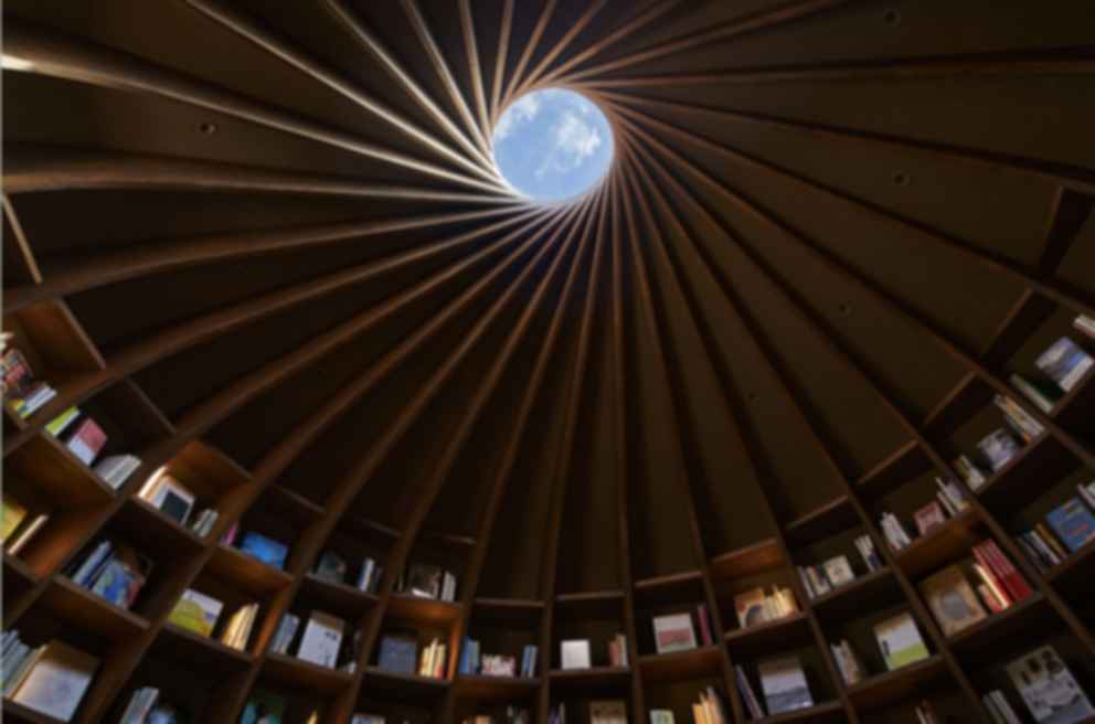 Library in the Earth - Ceiling - modlar.com