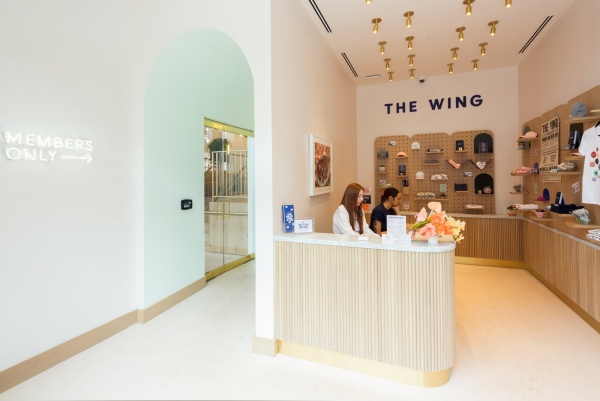 The Wing Dumbo - Reception - modlar.com