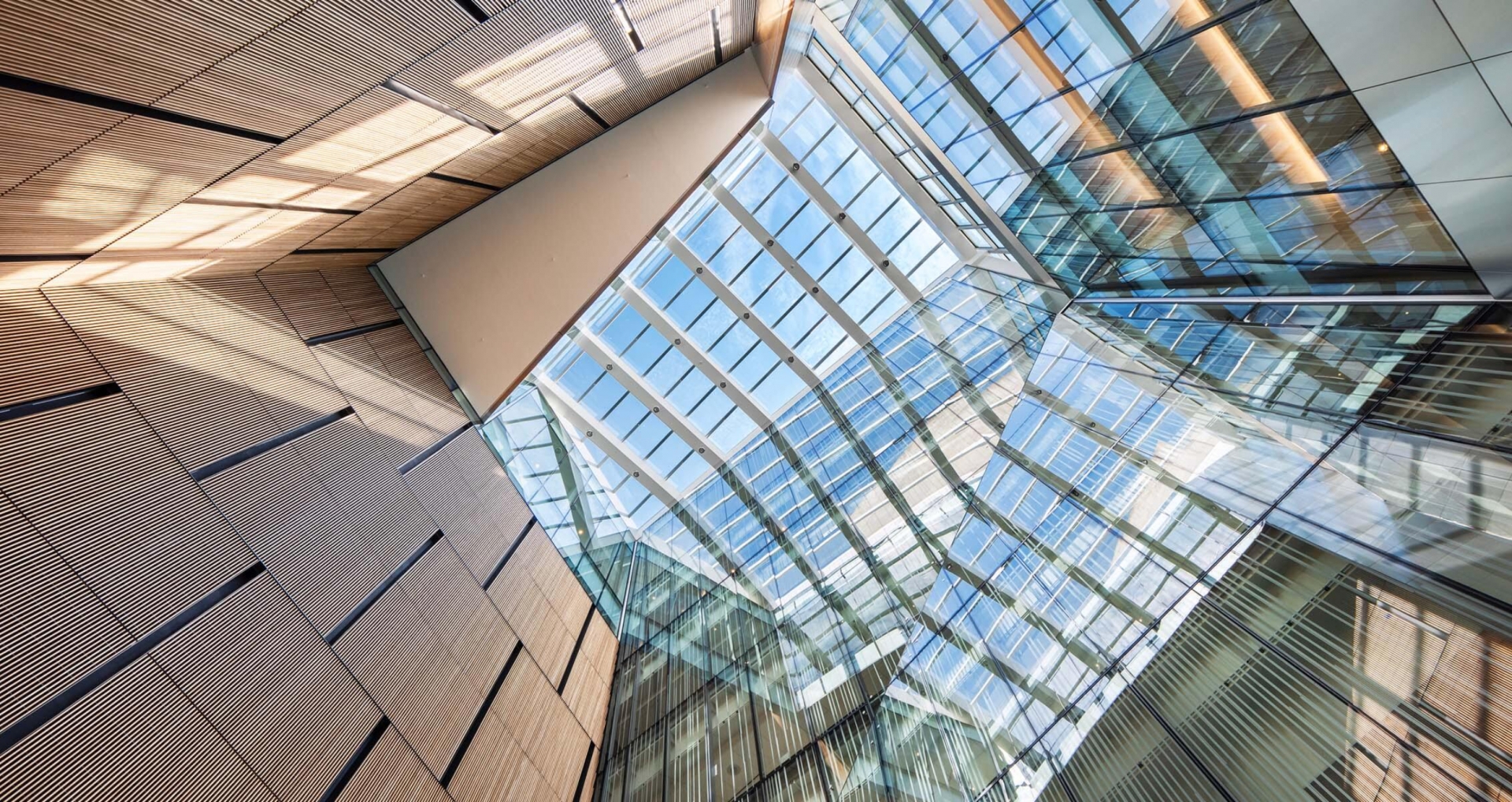 Malone Family Tower - Atrium Ceiling - modlar.com