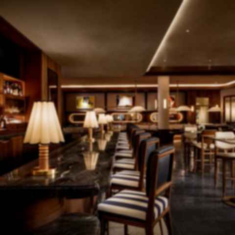 Seamark - Main Bar - modlar.com