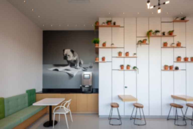 The Independent - Lounge - modlar.com