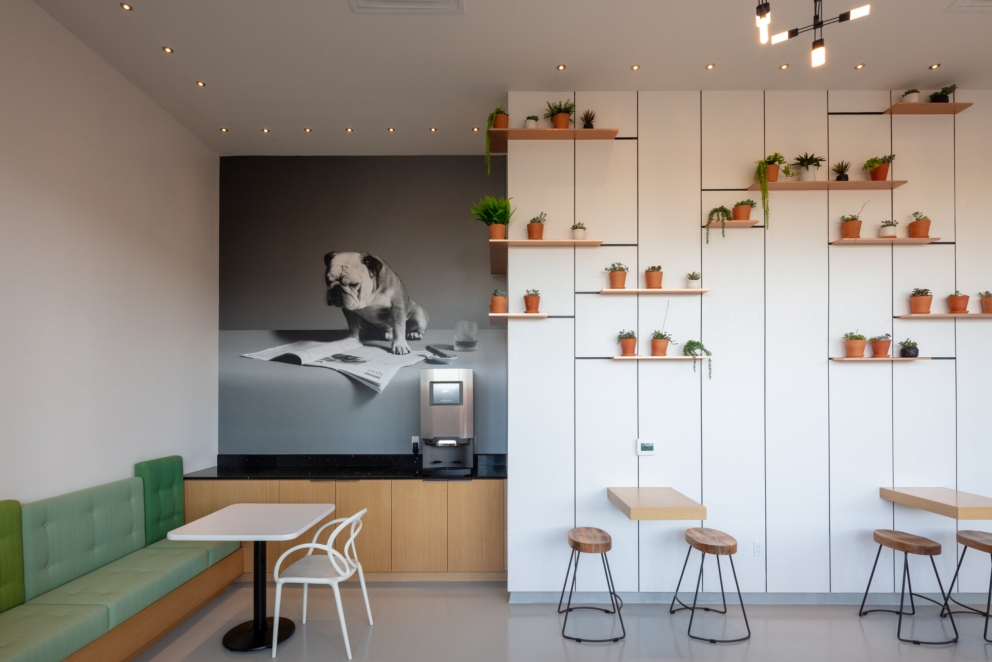 The Independent - Lounge - modlar.com