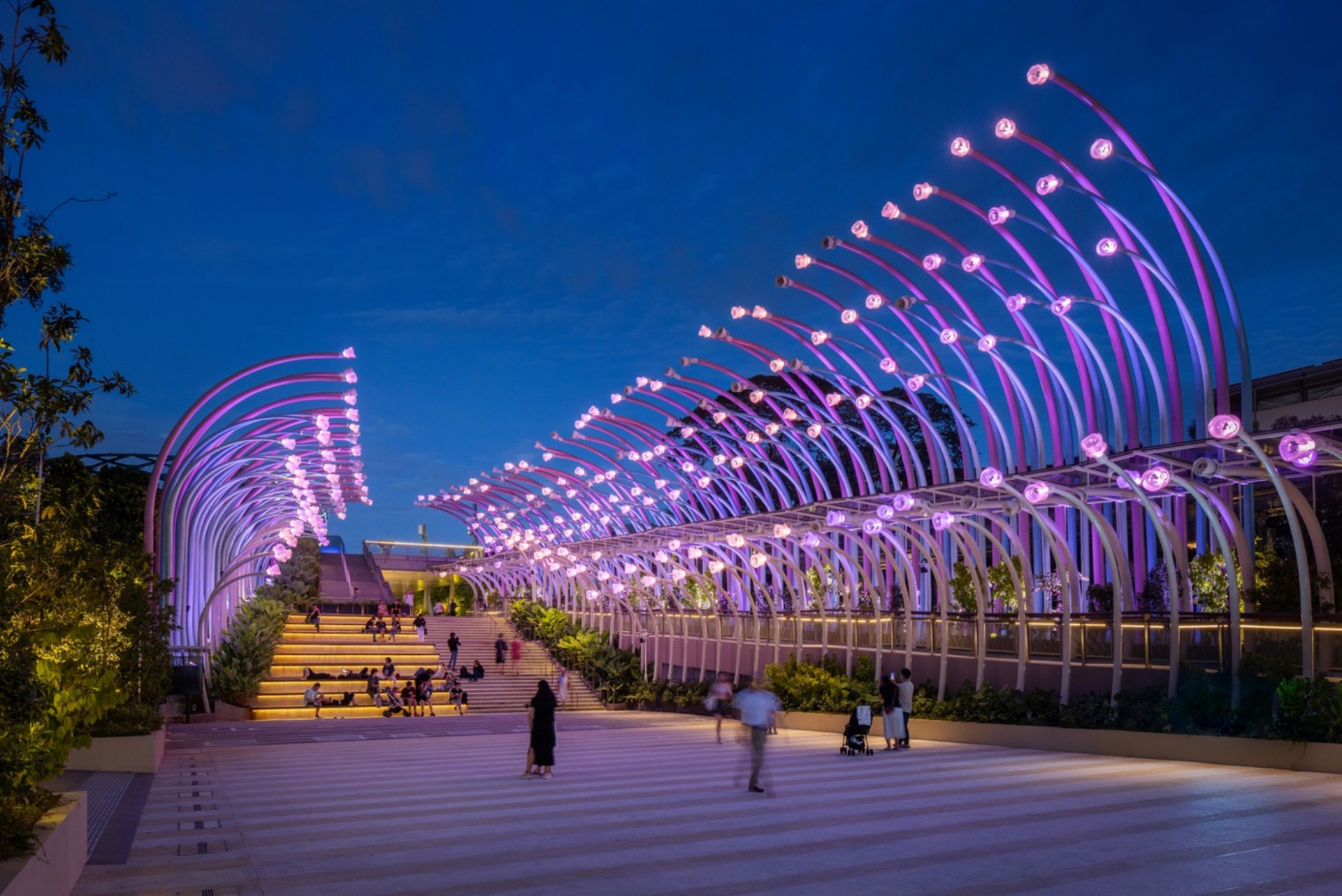 Sentosa Sensoryscape - By Night - modlar.com