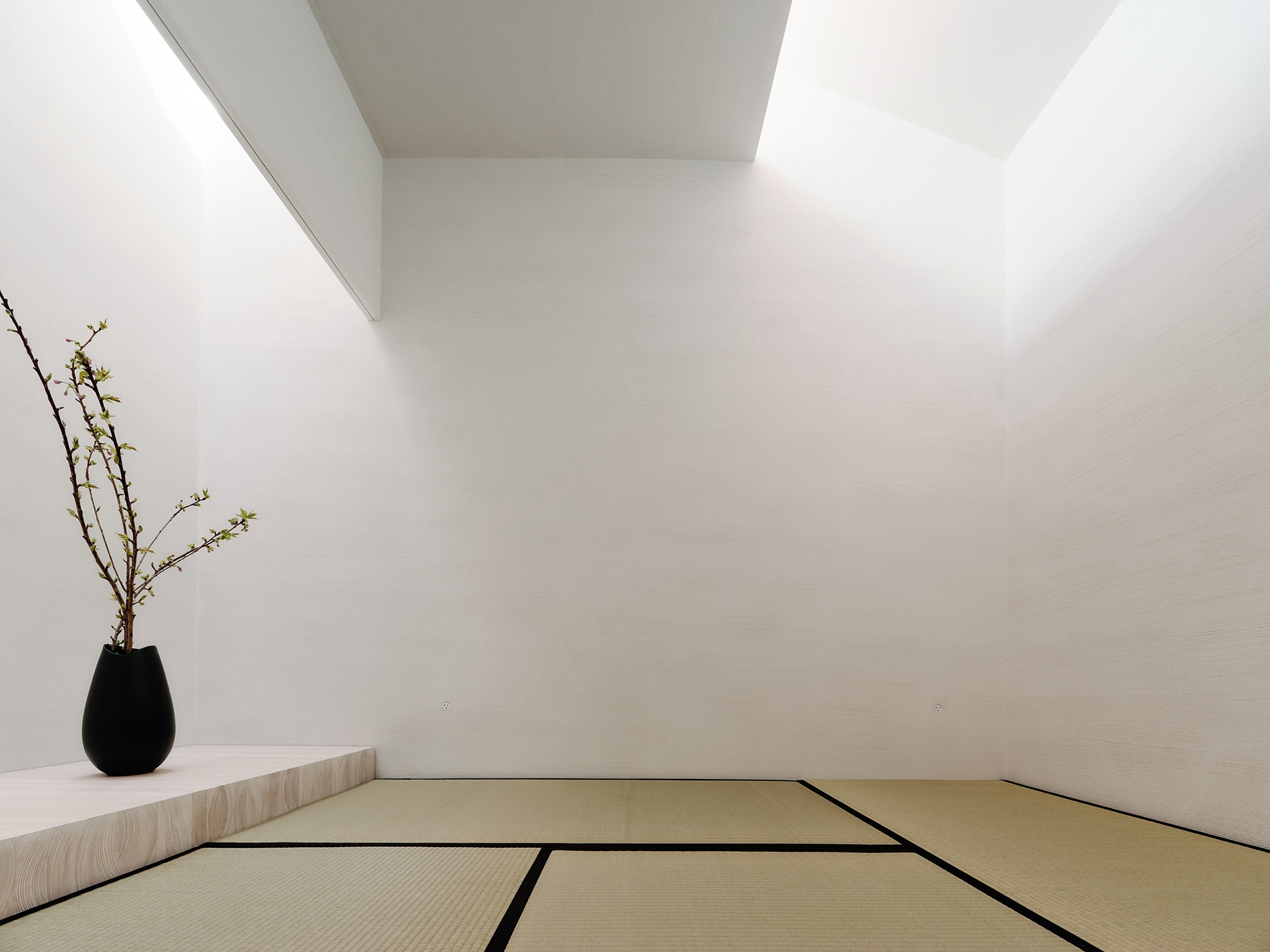 Capturing Light - modlar.com