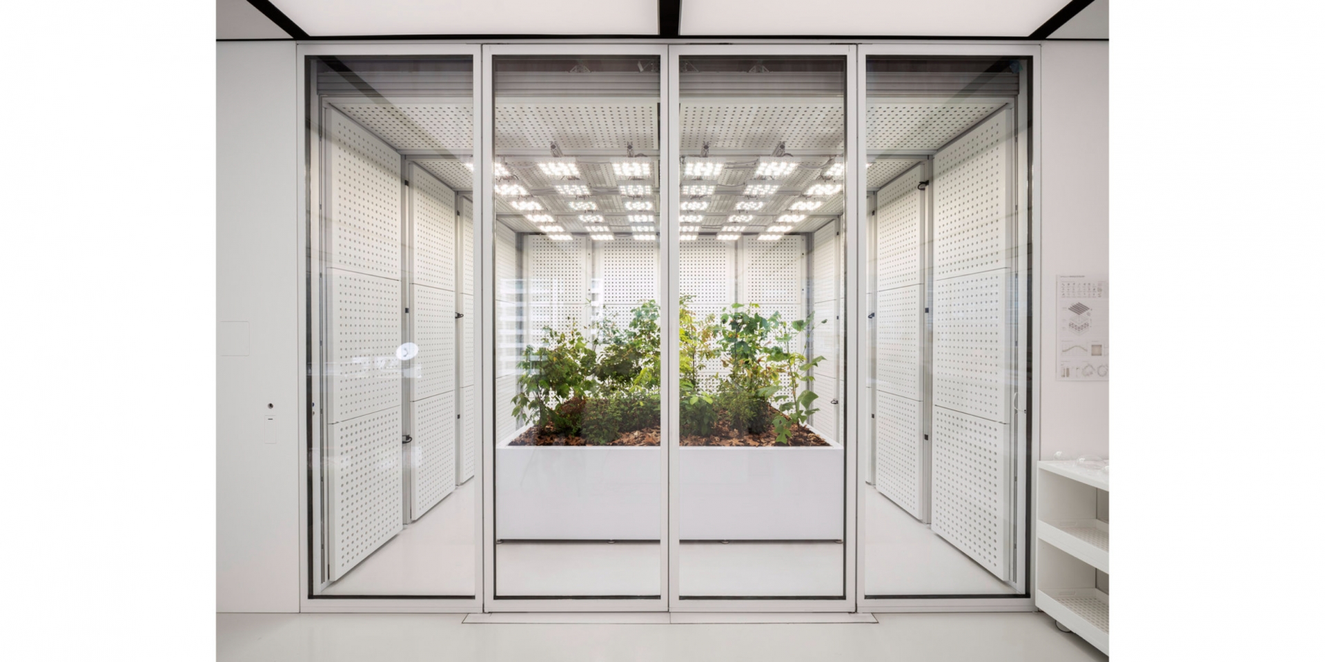 OXMAN Studio - Grow Room - modlar.com