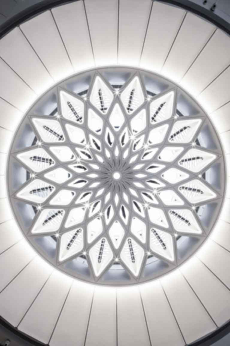 Peony - Ceiling - modlar.com