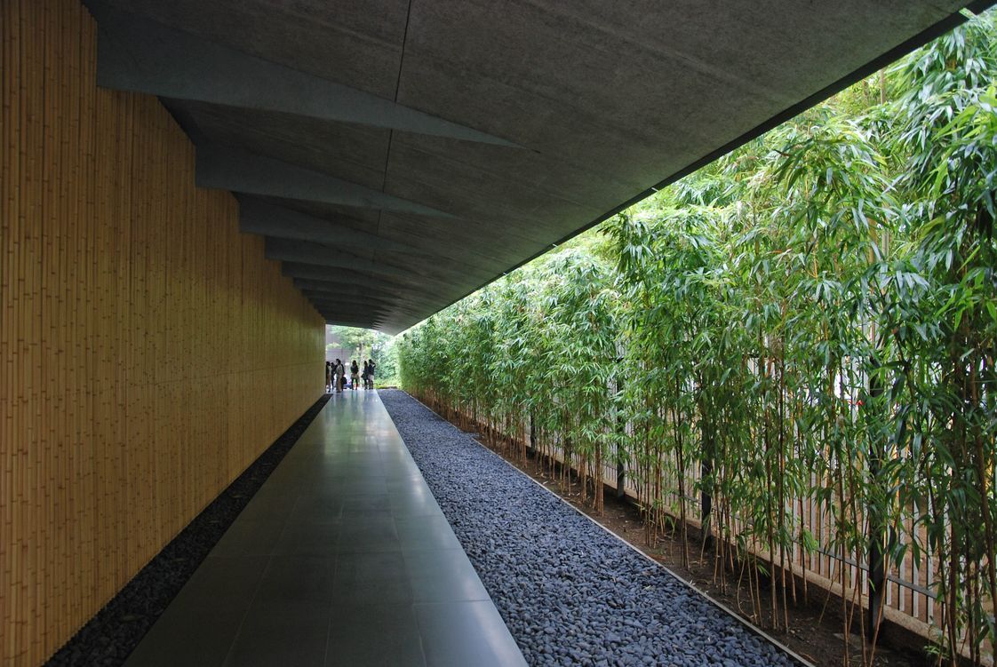 Great Bamboo Wall - Interior/Lounge - modlar.com