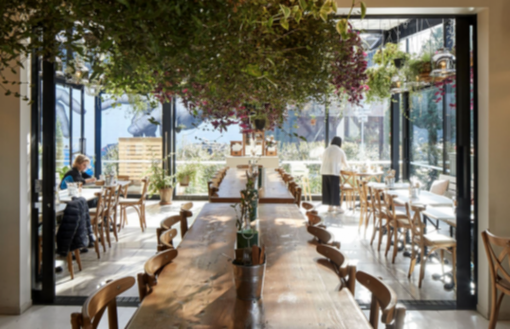 Kind Cafe - Interior - modlar.com