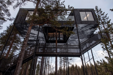 The 7th Room Treehotel - modlar.com