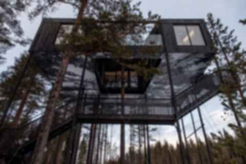 The 7th Room Treehotel - modlar.com