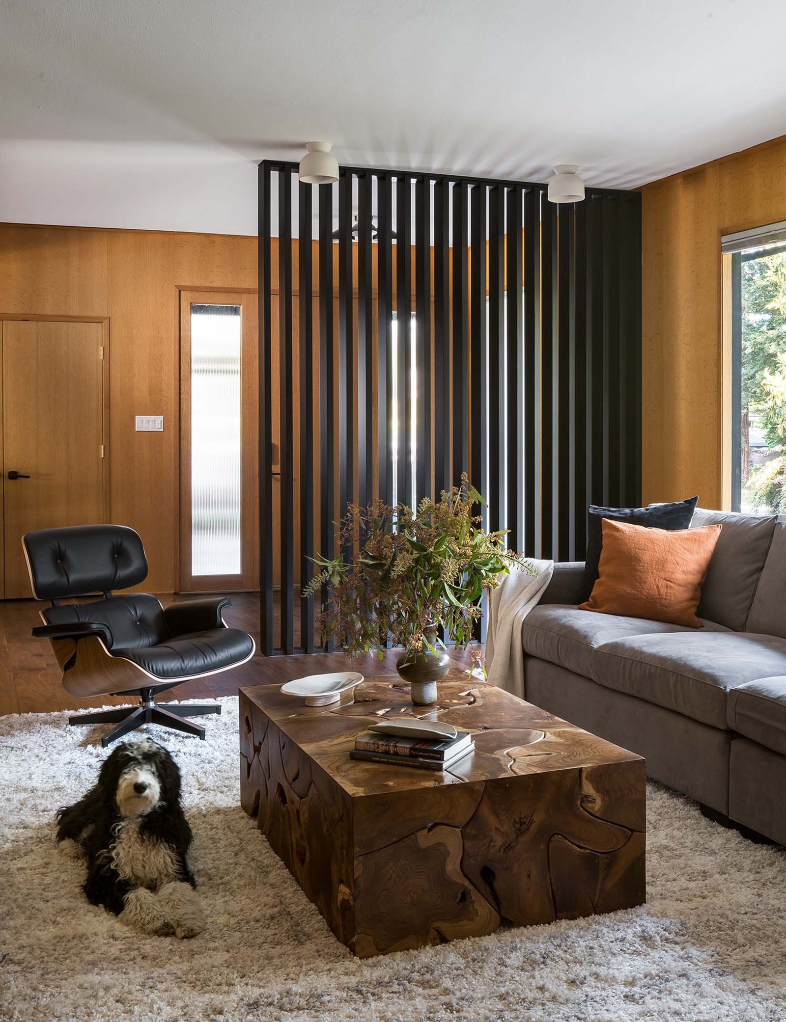 Lafayette Renovation - modlar.com