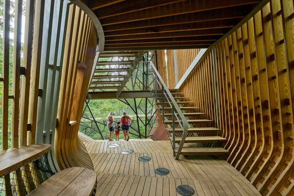 Evans Tree House - Stairs - modlar.com
