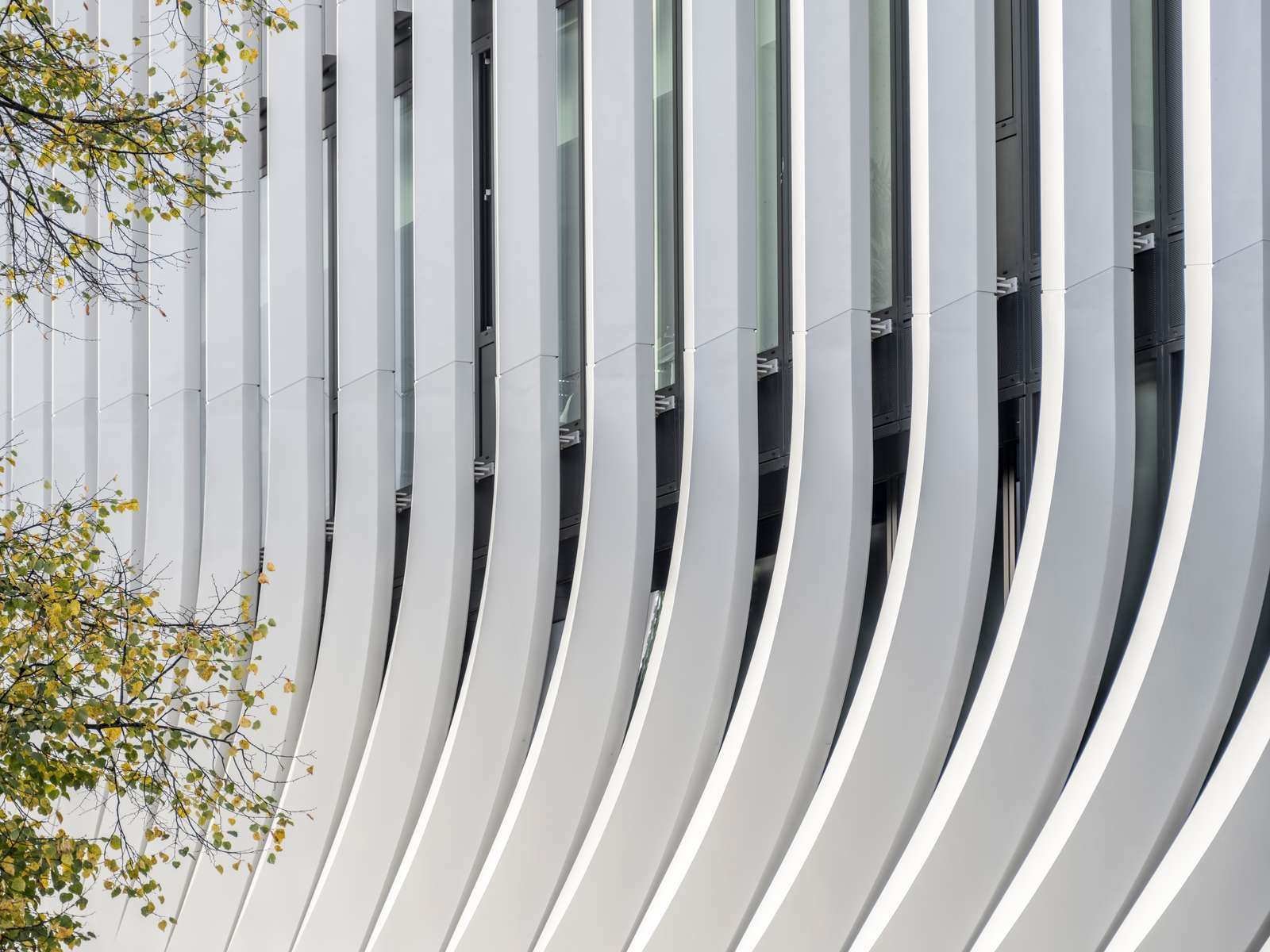 Art and Entertainment Photos - Modlar