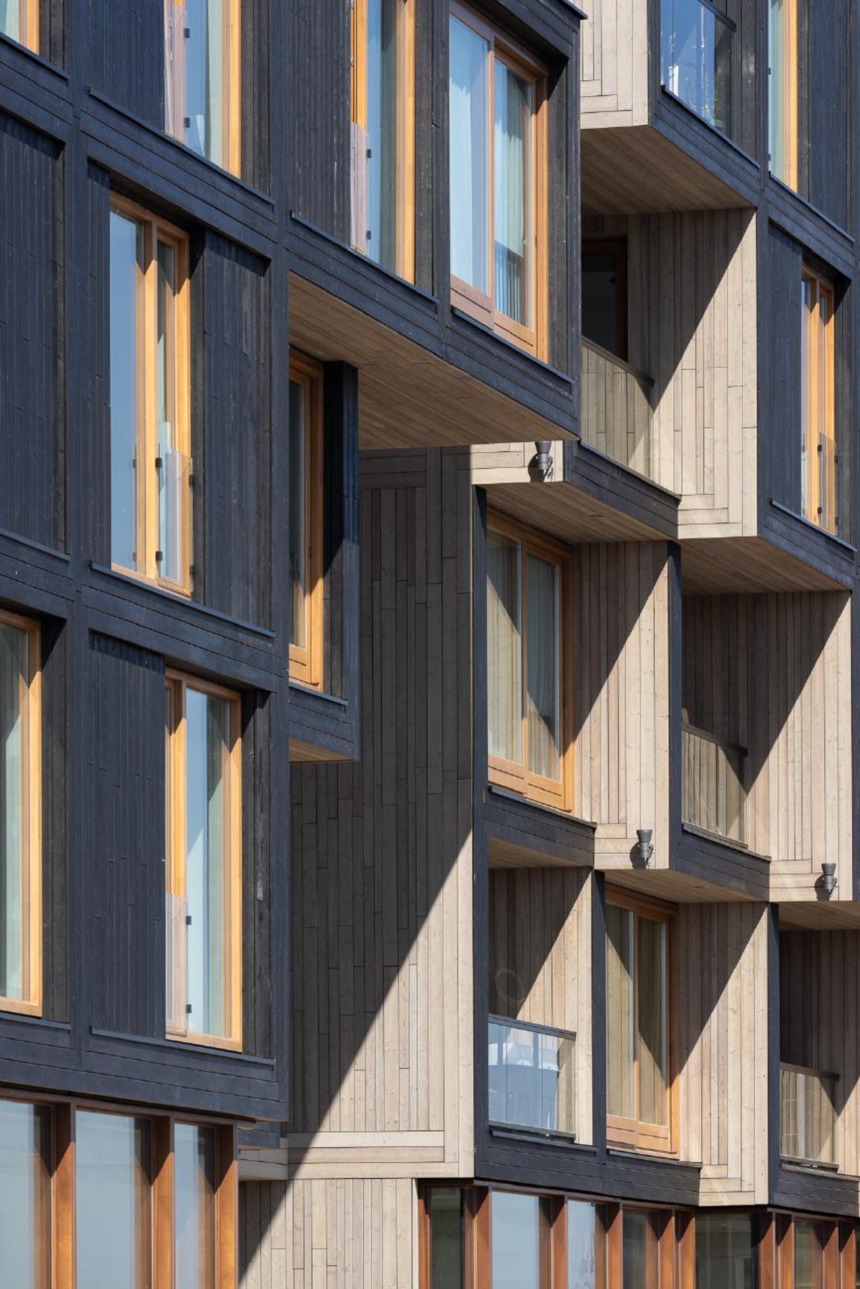 Juf Nienke - Corridor - modlar.com