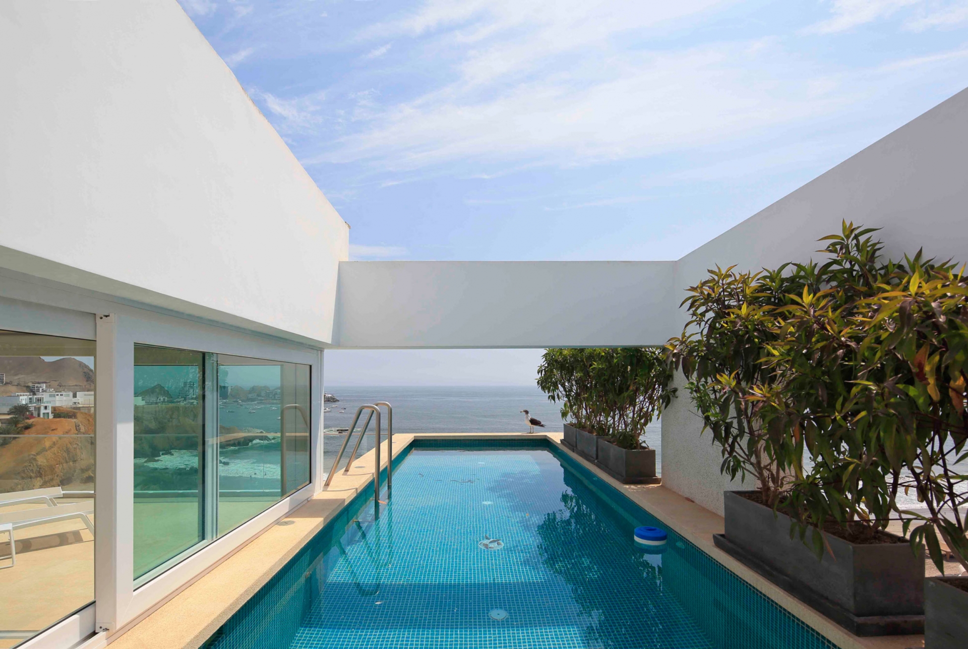 Pachyderm Building - modlar.com