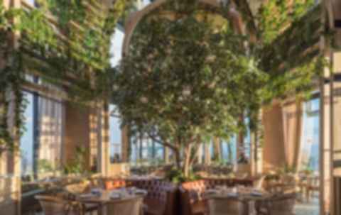 Ling Ling Restaurant - modlar.com