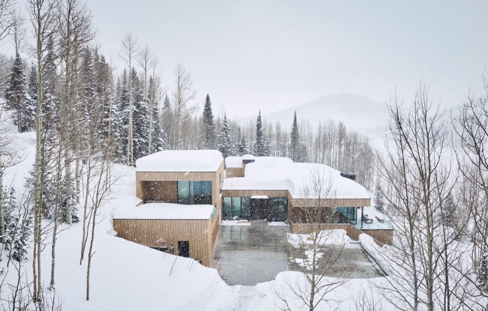 Nest - Exterior - modlar.com