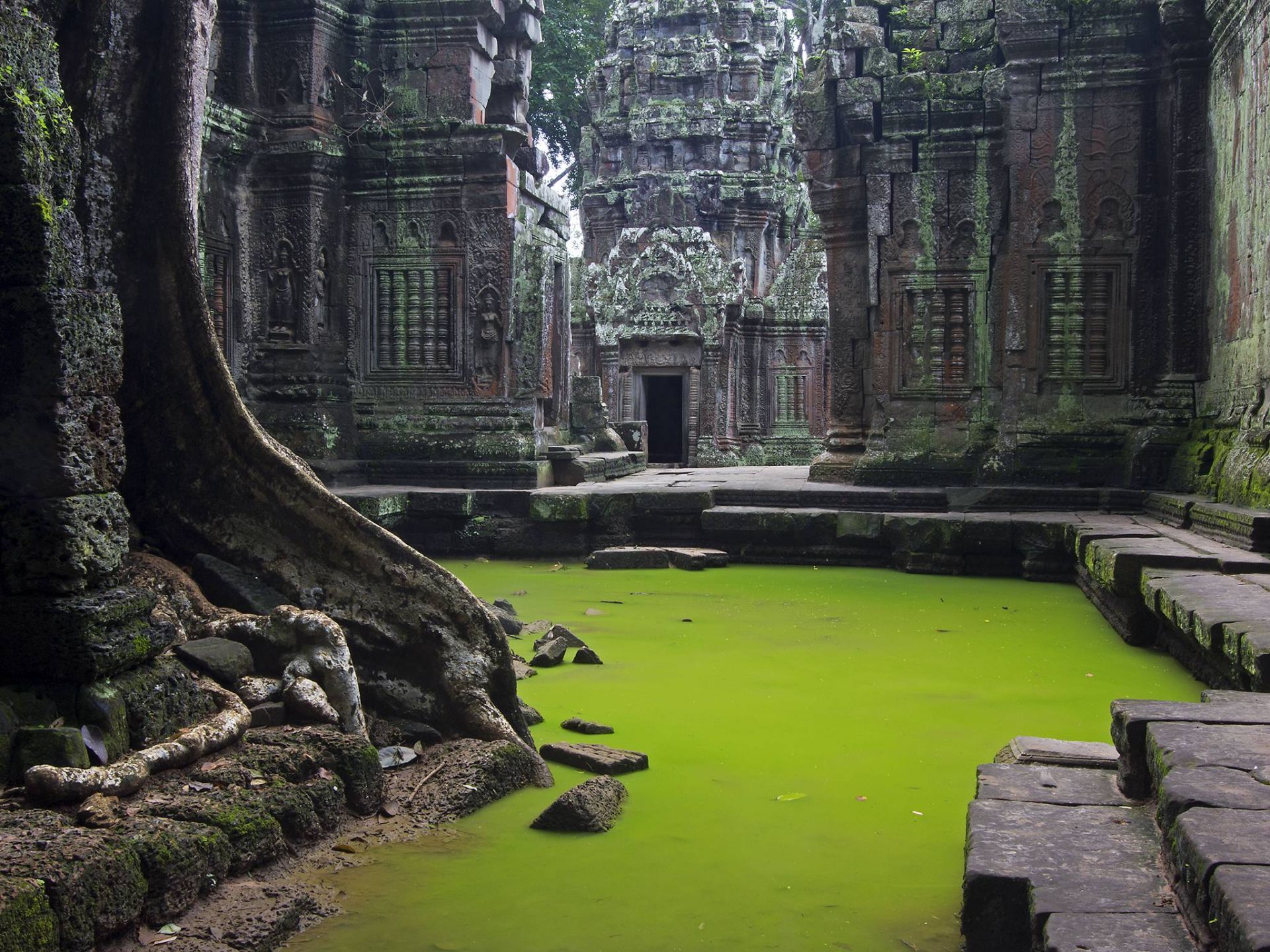 Ta Prohm Temple - Walkway - modlar.com
