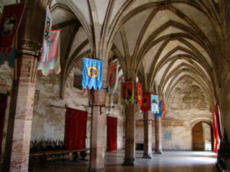 Corvin Castle - Interior Pillars - modlar.com