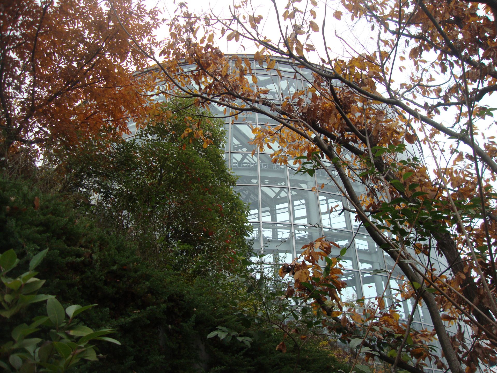 Acros Fukuoka International Hall - Exterior - modlar.com