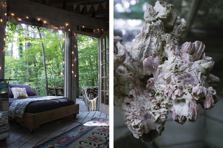 Atlanta Treehouse - Interior/Lounge - modlar.com